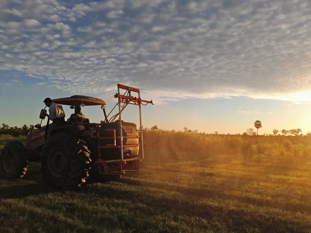 Market - INACTIVADA CONTRA EL GARROTILLO